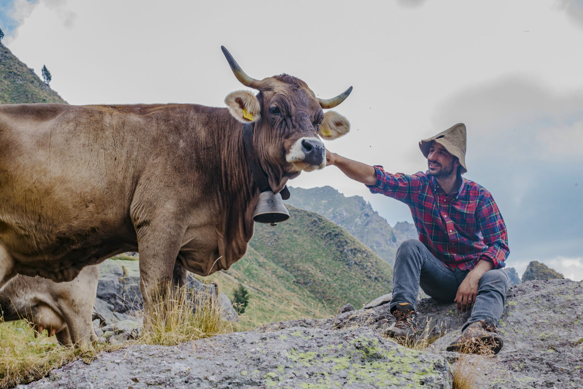 Ferdy Wild: il ritorno autentico alla montagna tra gastronomia, natura ...