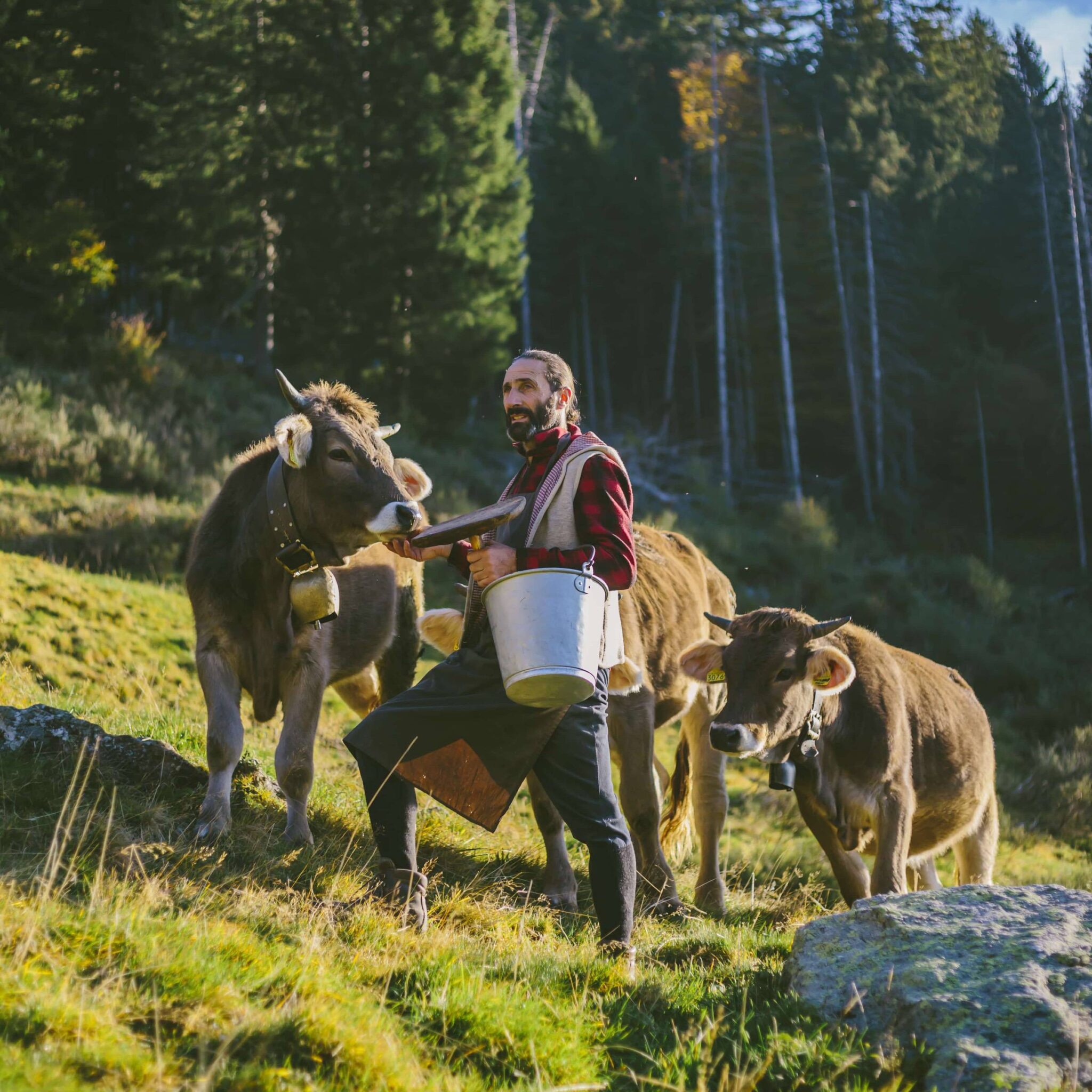 Ferdy Wild: il ritorno autentico alla montagna tra gastronomia, natura ...